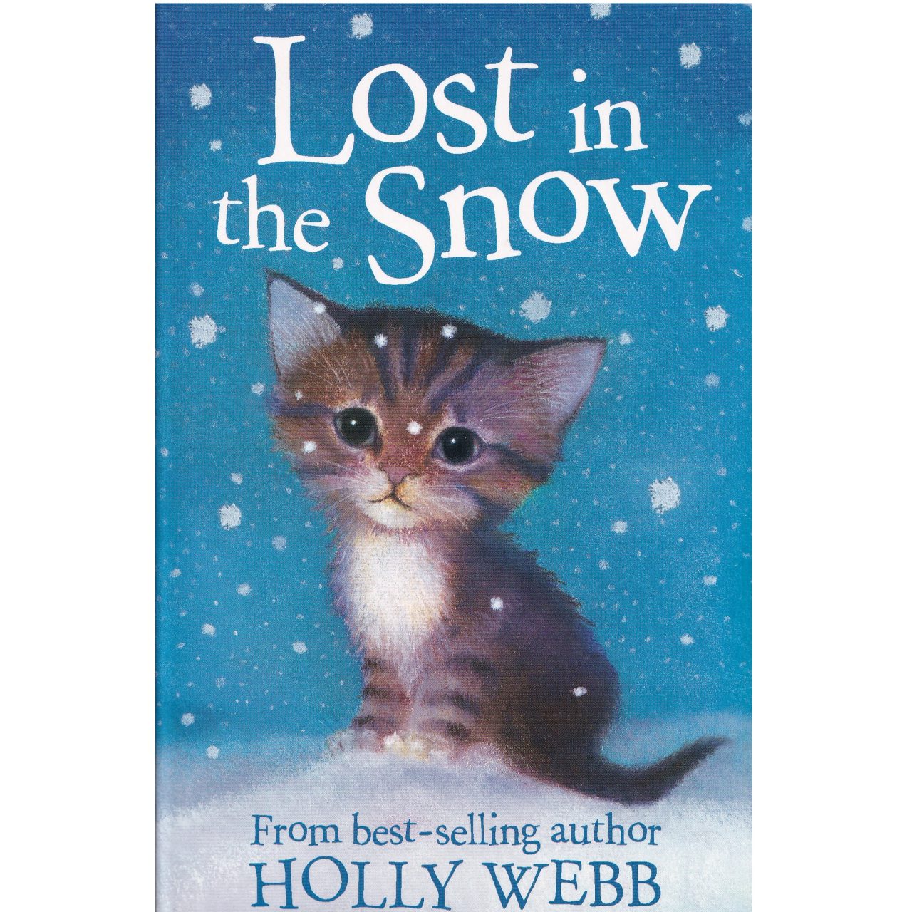 Lost in the Snow – The Book Box